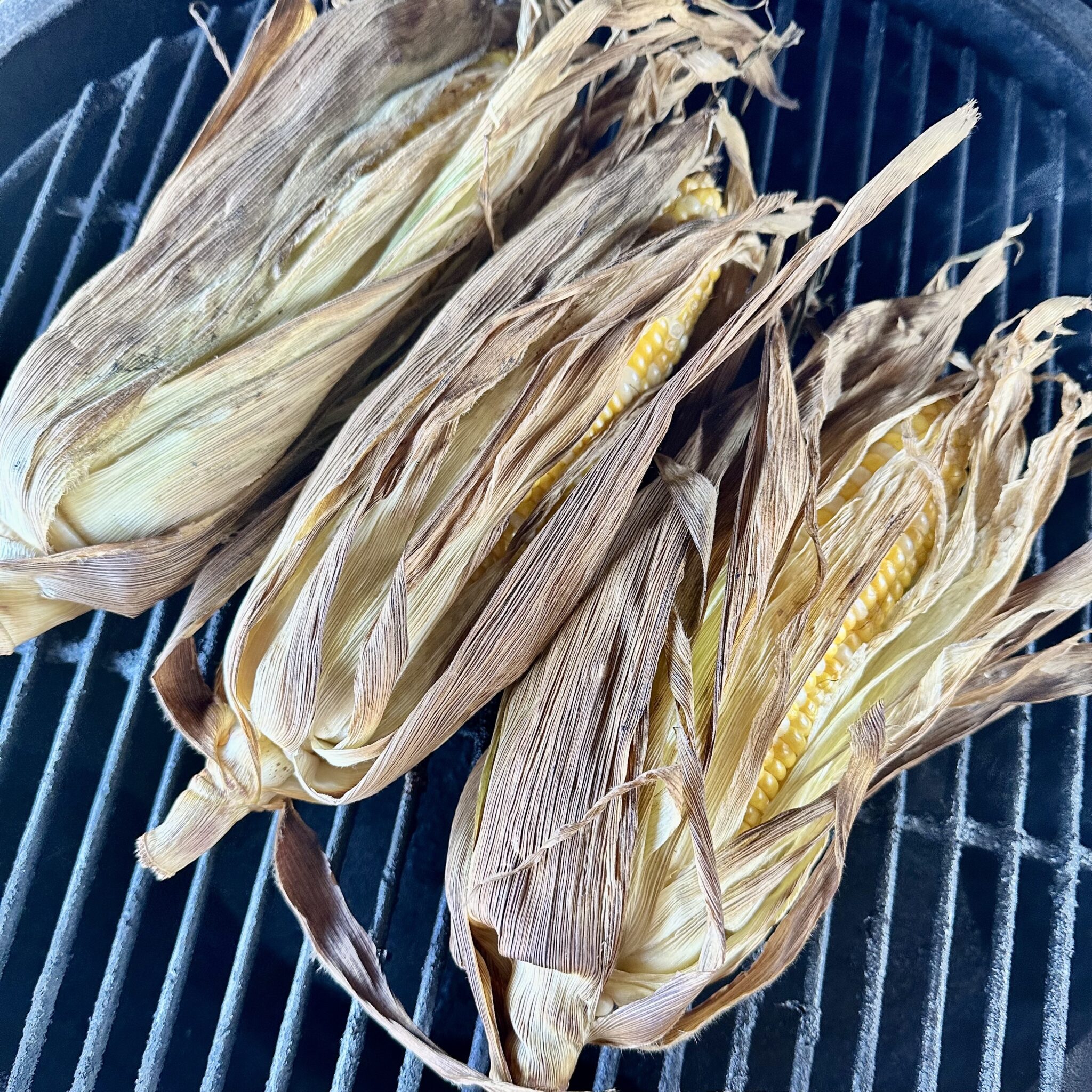 Elotes Street Corn - Grillin With Dad