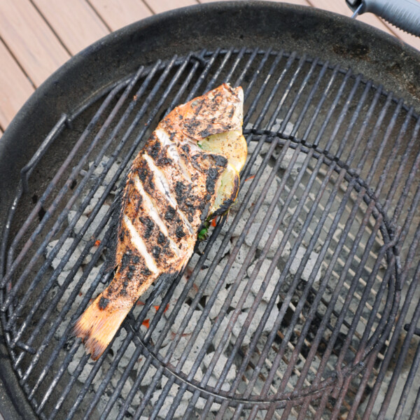 Grilled Red Snapper - Grillin With Dad